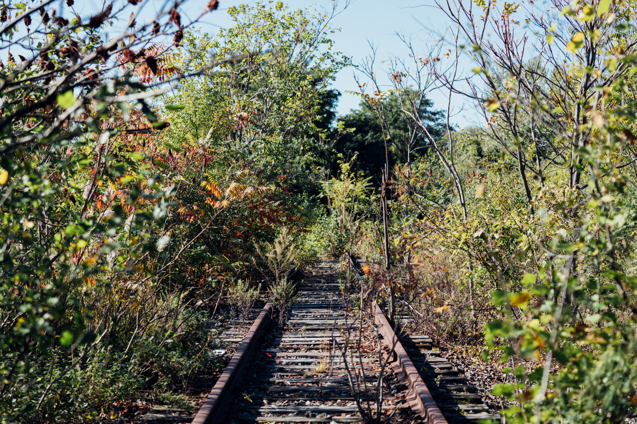 NJDEP| Greenway | About