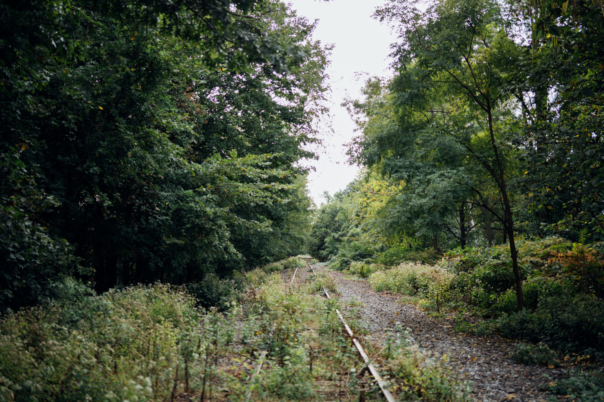 NJDEP| Greenway | About