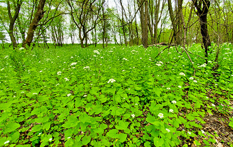 NJDEP | New Jersey Department of Environmental Protection