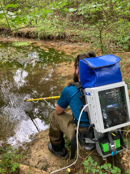 NJDEP| Invasive Species | Home