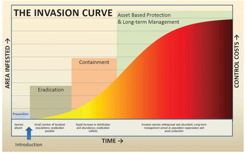 NJDEP| Invasive Species | Home