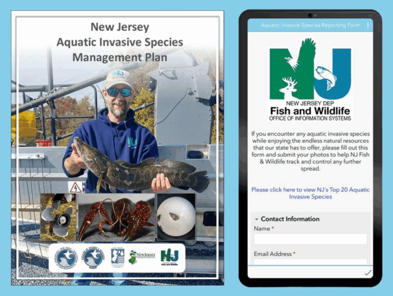 NJDEP| Invasive Species | Aquatic Invasive Species Management Plan