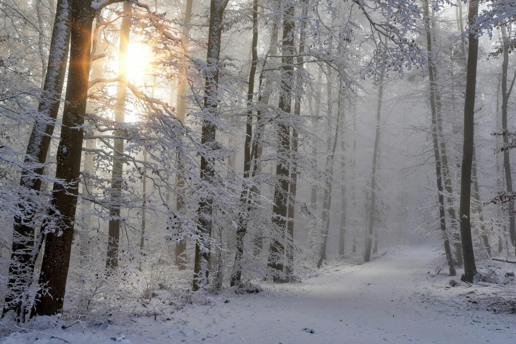 NJDEP| NJDEP - Employment | Employment Opportunities