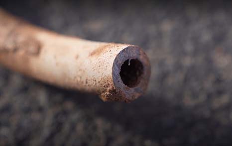 NJDEP| Lead Exposure Reduction | Home