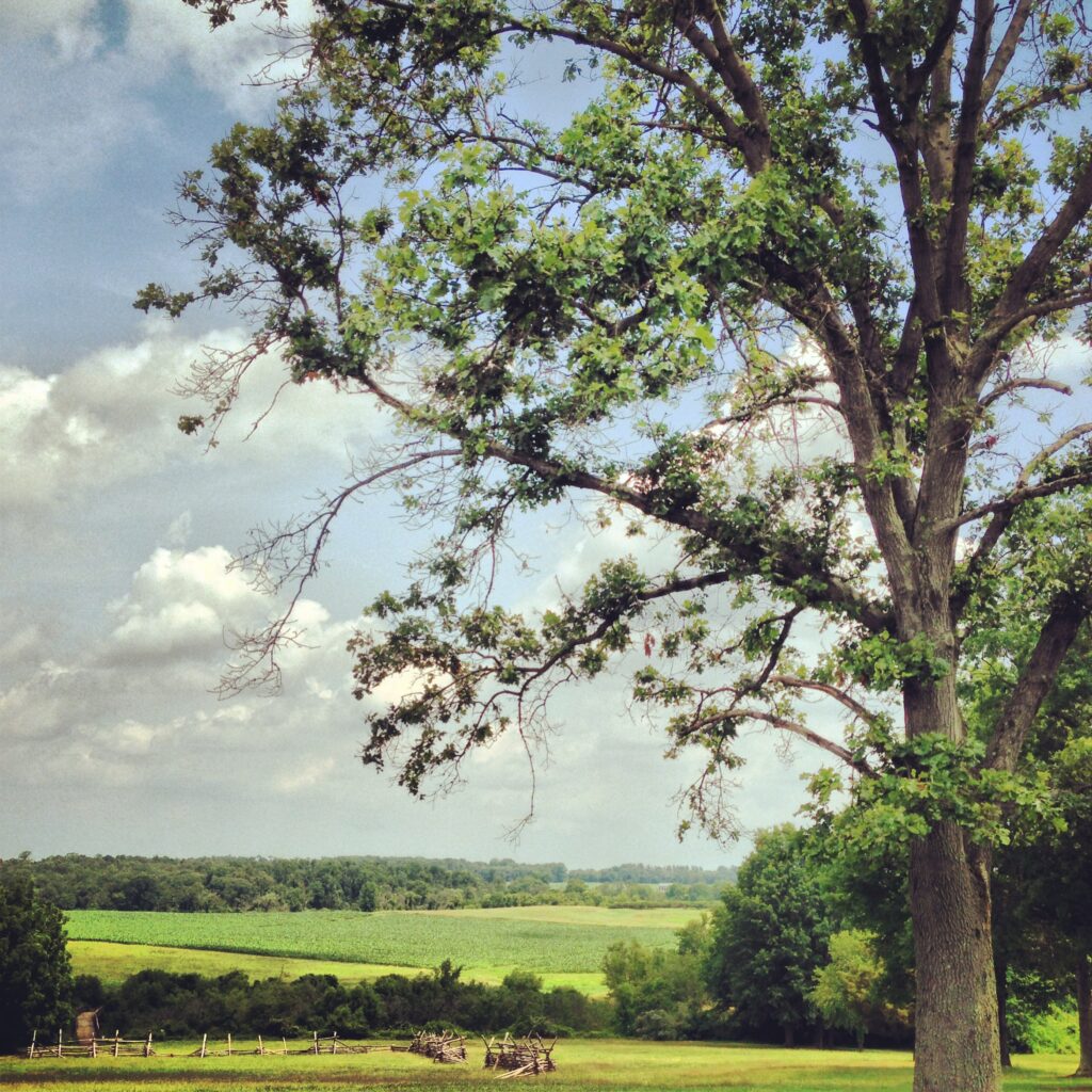NJDEP| News Releases | New Visitor Center for Monmouth Battlefield ...