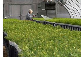 NJDEP| News Releases | Christie Administration Providing Residents More ...