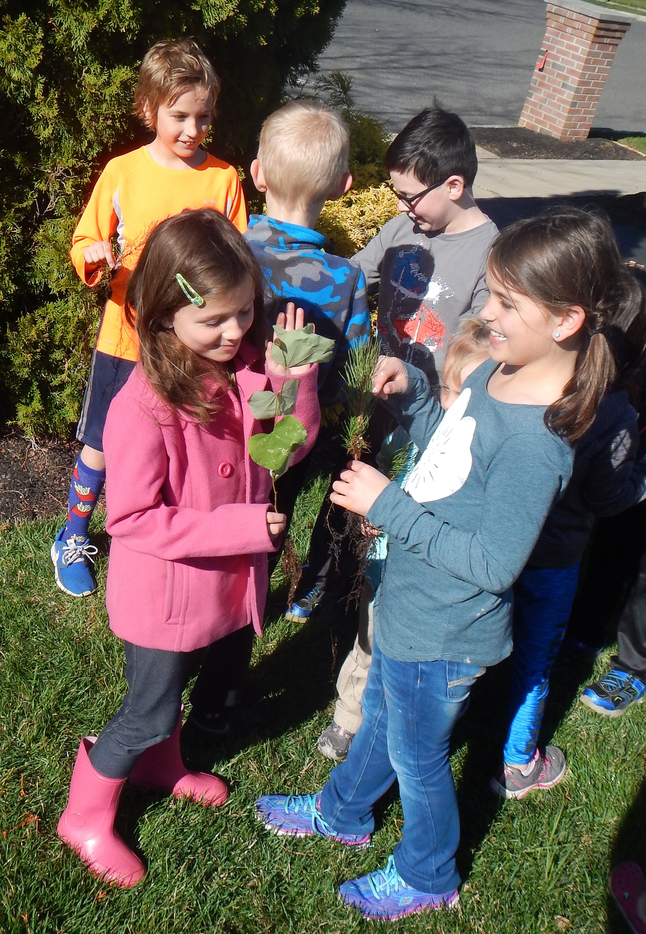 NJDEP| News Releases | DEP to Provide 60,000 Free Tree Seedlings for ...