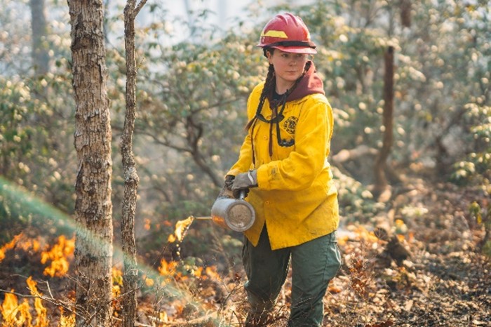 NJDEP| News Releases | DEP Forest Fire Service Ramps Up Annual Prescribed Burning Program ...