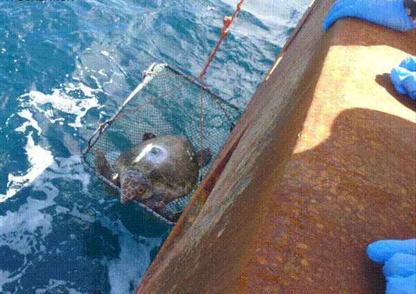 NJDEP| News Releases | Murphy Administration Announces $3.7 Million in ...