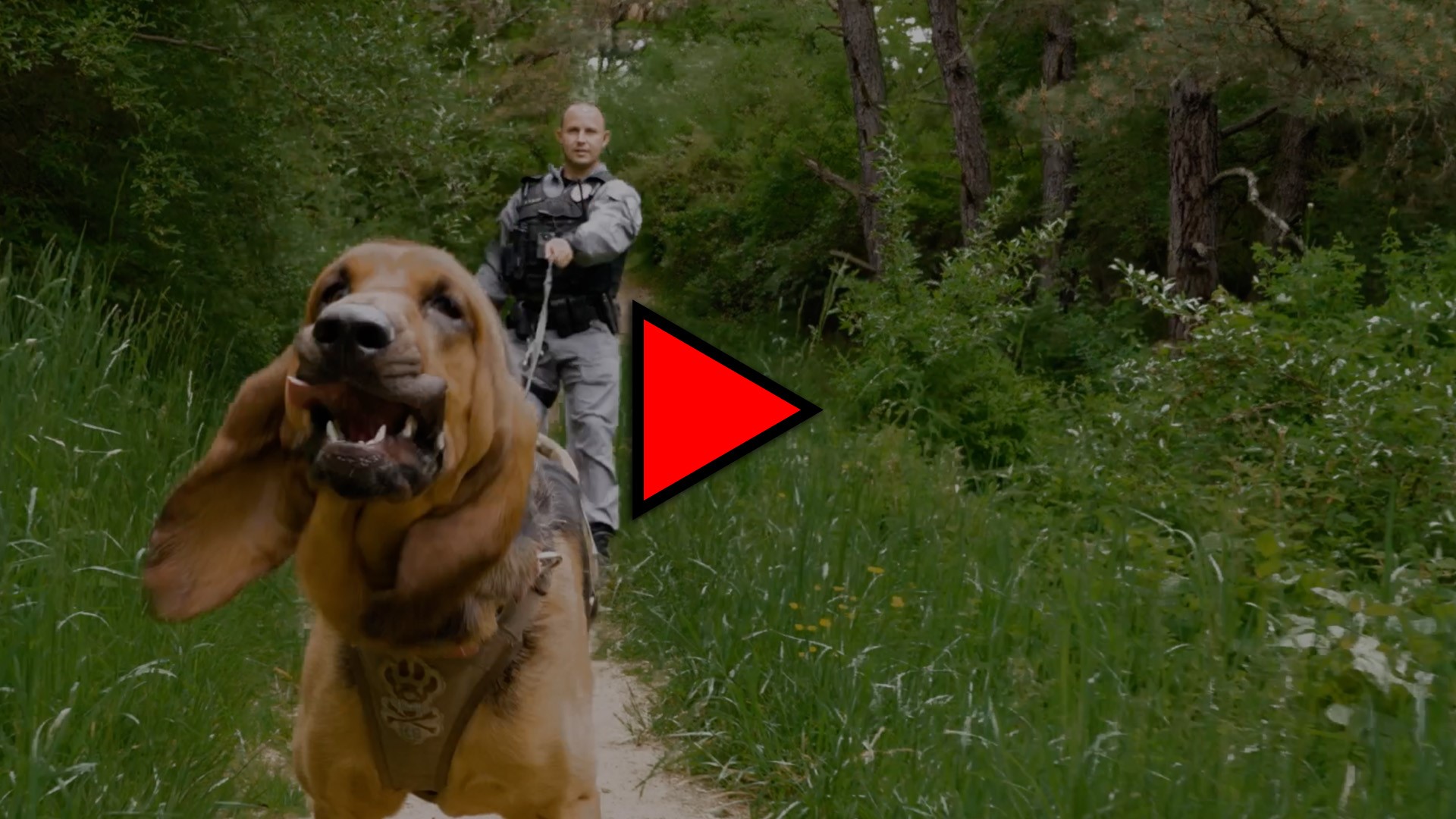 NJDEP| News Releases | DEP’s State Park Police Seeks to Hire 20 ...