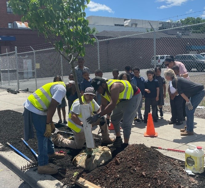 NJDEP| News Releases | DEP, Sustainable Jersey, and TCNJ Announce ...