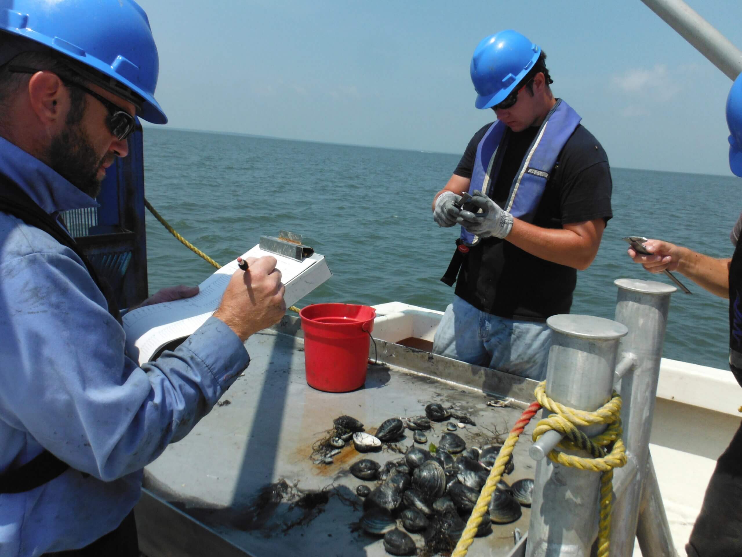 NJDEP| Fish & Wildlife | Inventory of New Jersey’s Estuarine Shellfish ...