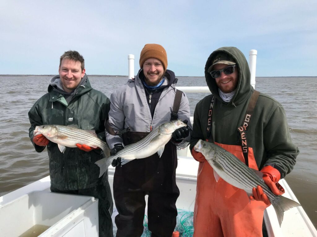 NJDEP| Fish & Wildlife | Striped Bass Tagging Survey