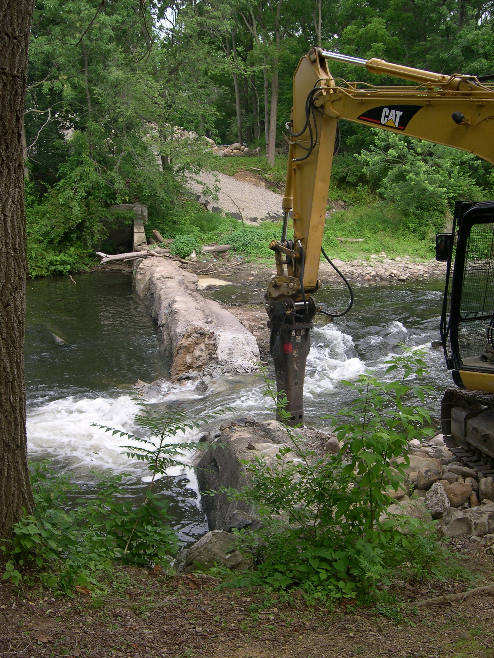 NJDEP| Fish & Wildlife | Habitat Degradation