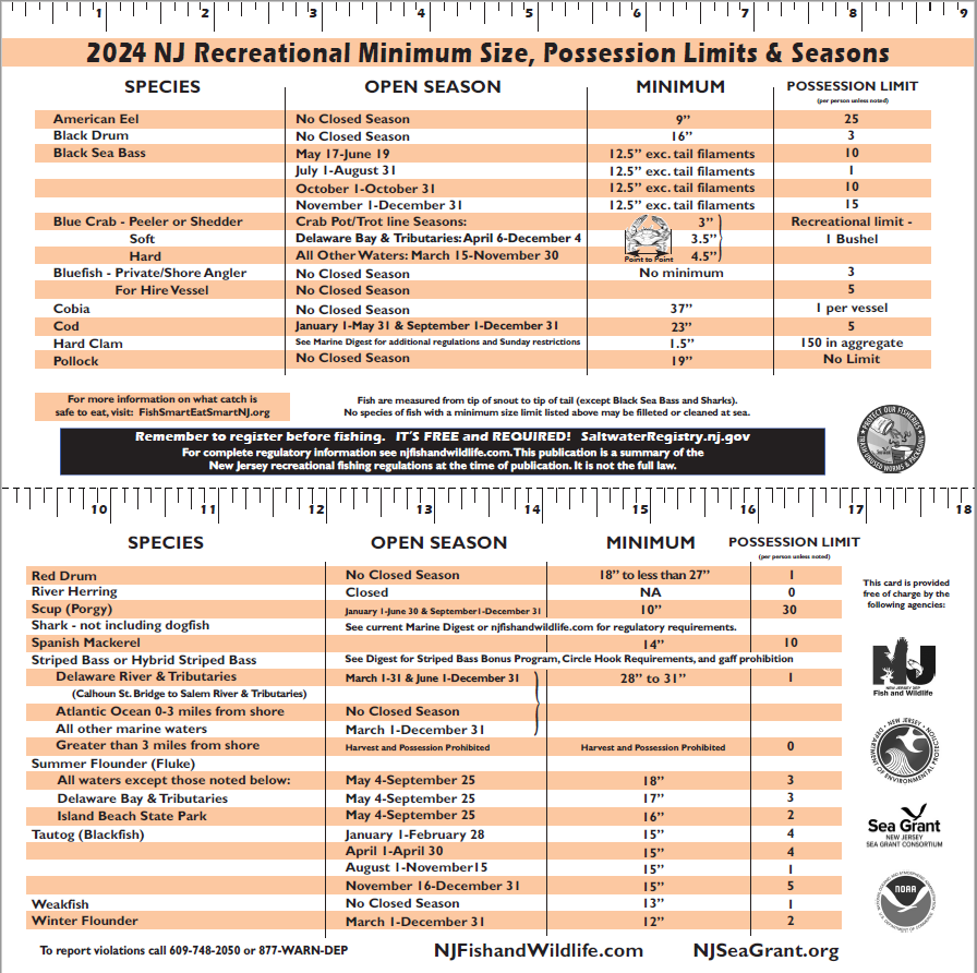 NJDEP| Fish & Wildlife | New Jersey Marine Digest