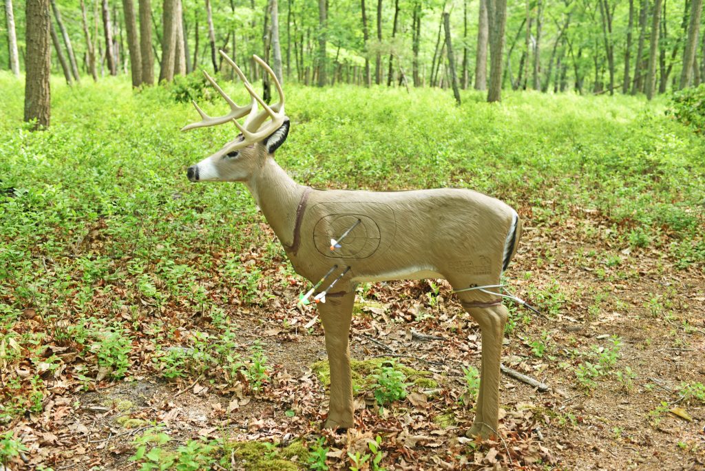 NJDEP| Fish & Wildlife | New 3D Archery Training Range