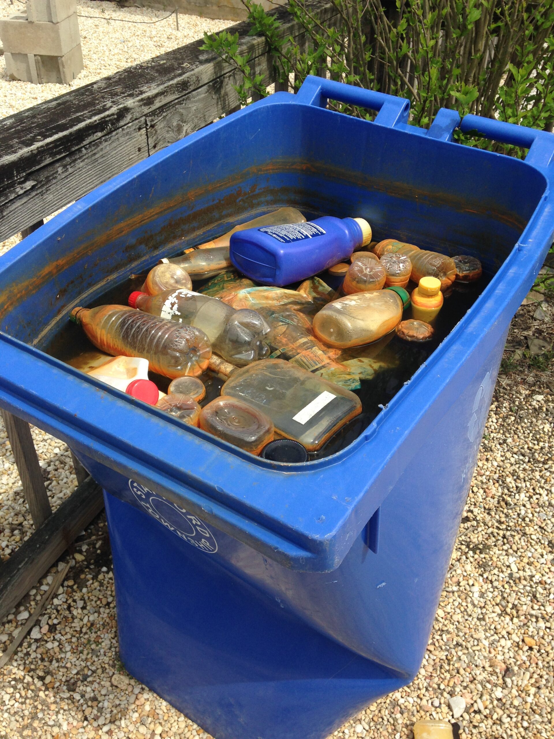 NJDEP| Fish & Wildlife | Mosquito Management at Home
