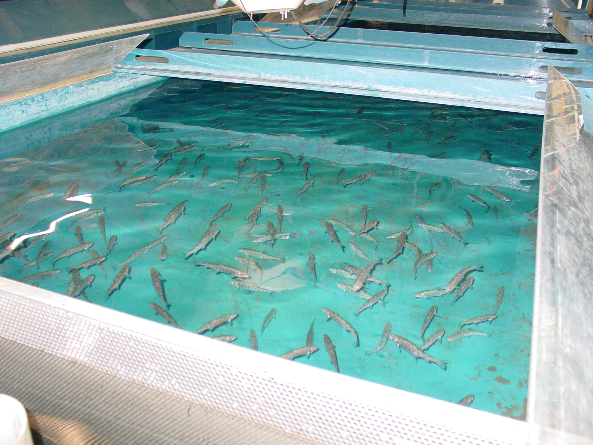 NJDEP| Fish & Wildlife | Statewide Mosquito Control Programs