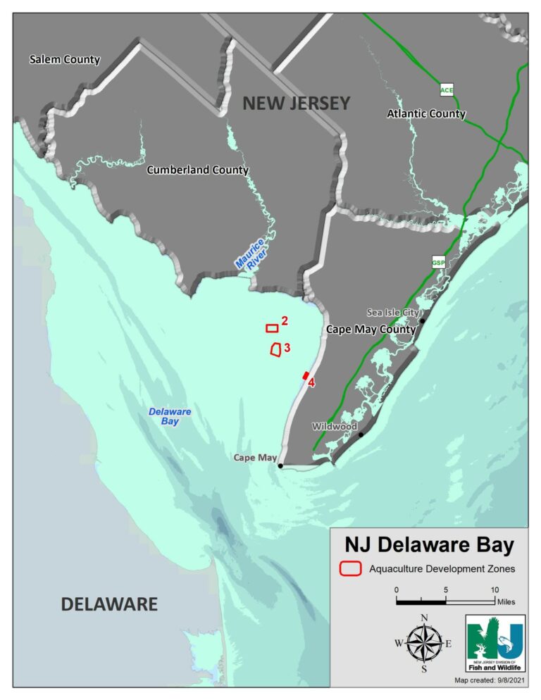 NJDEP| Fish & Wildlife | Commercial Shellfish Aquaculture