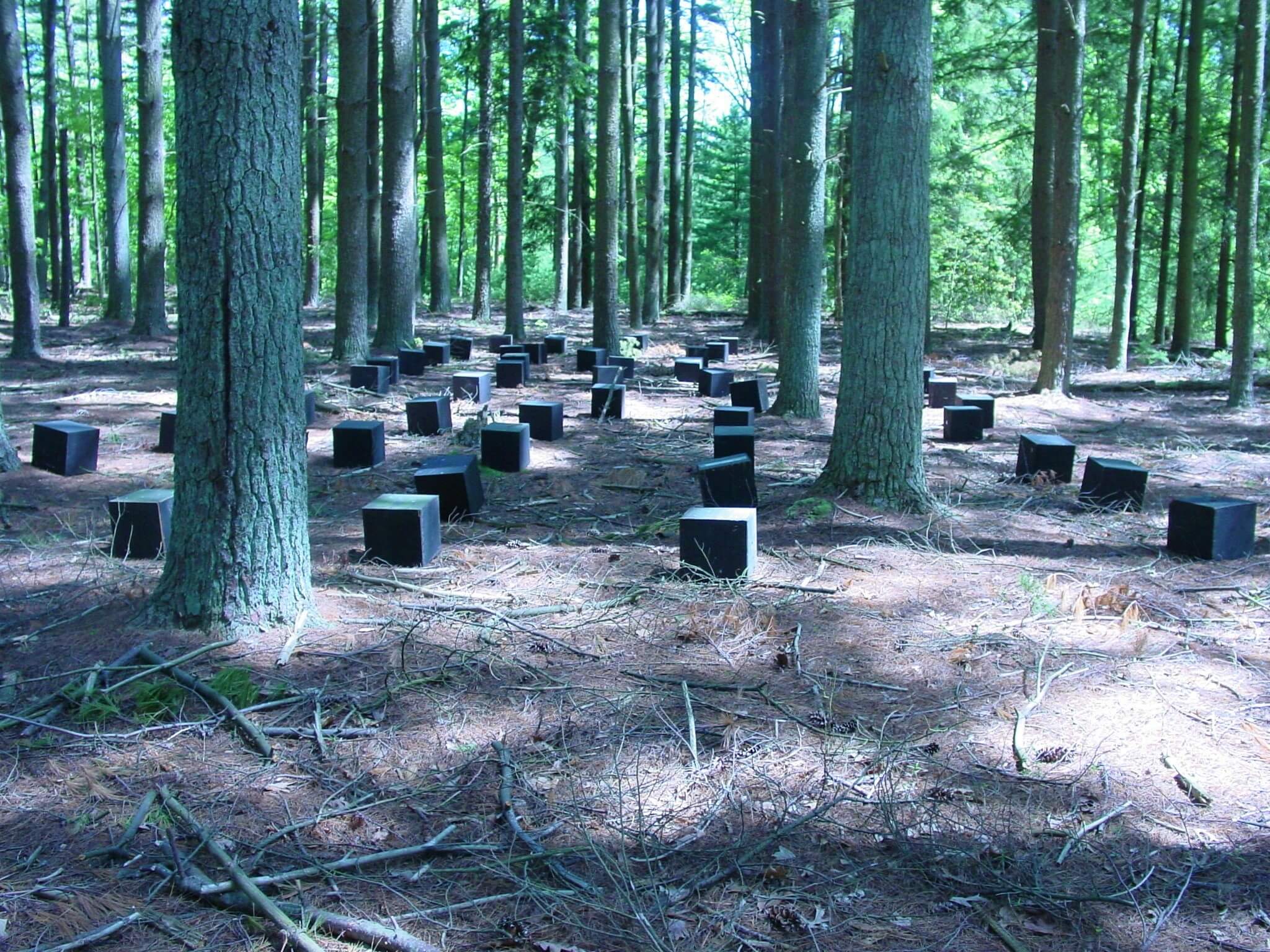 NJDEP| Fish & Wildlife | Statewide Mosquito Control Programs