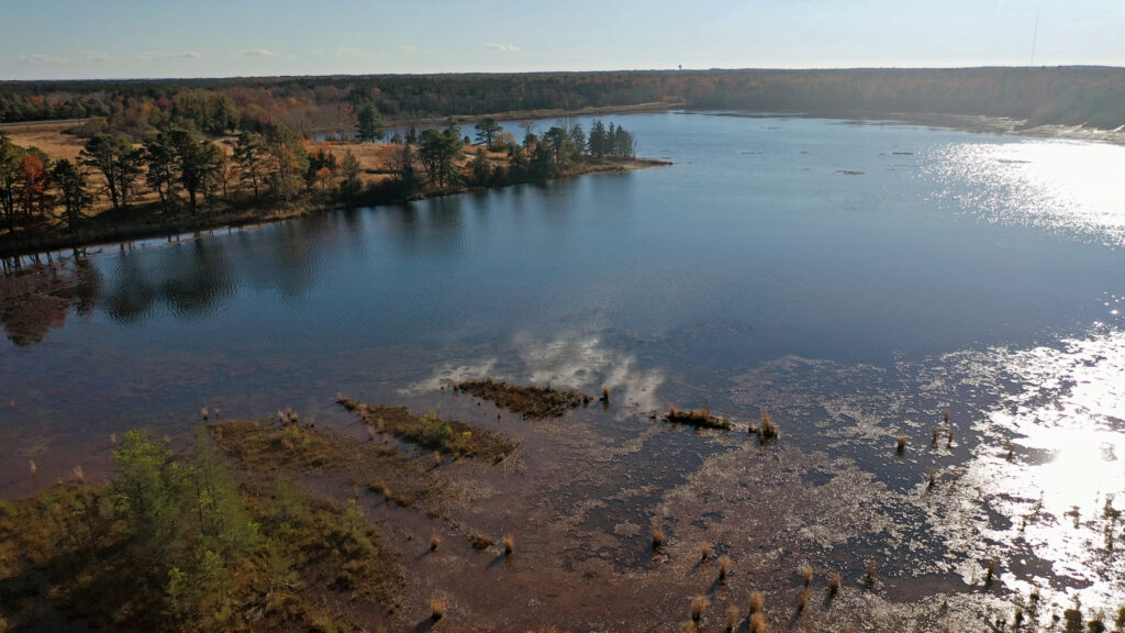 NJDEP| Fish & Wildlife | WMA of the Month - Stafford Forge