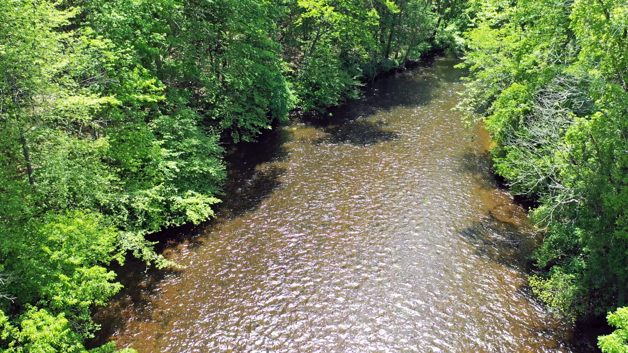 NJDEP| Fish & Wildlife | WMA of the Month - Musconetcong River