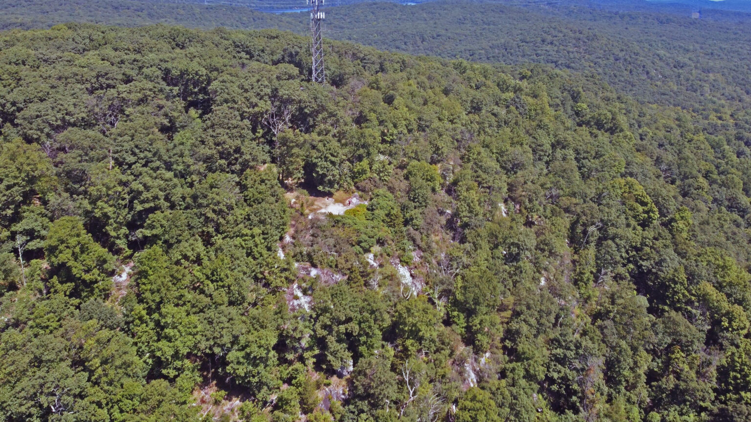 NJDEP| Fish & Wildlife | WMA of the Month - Wildcat Ridge