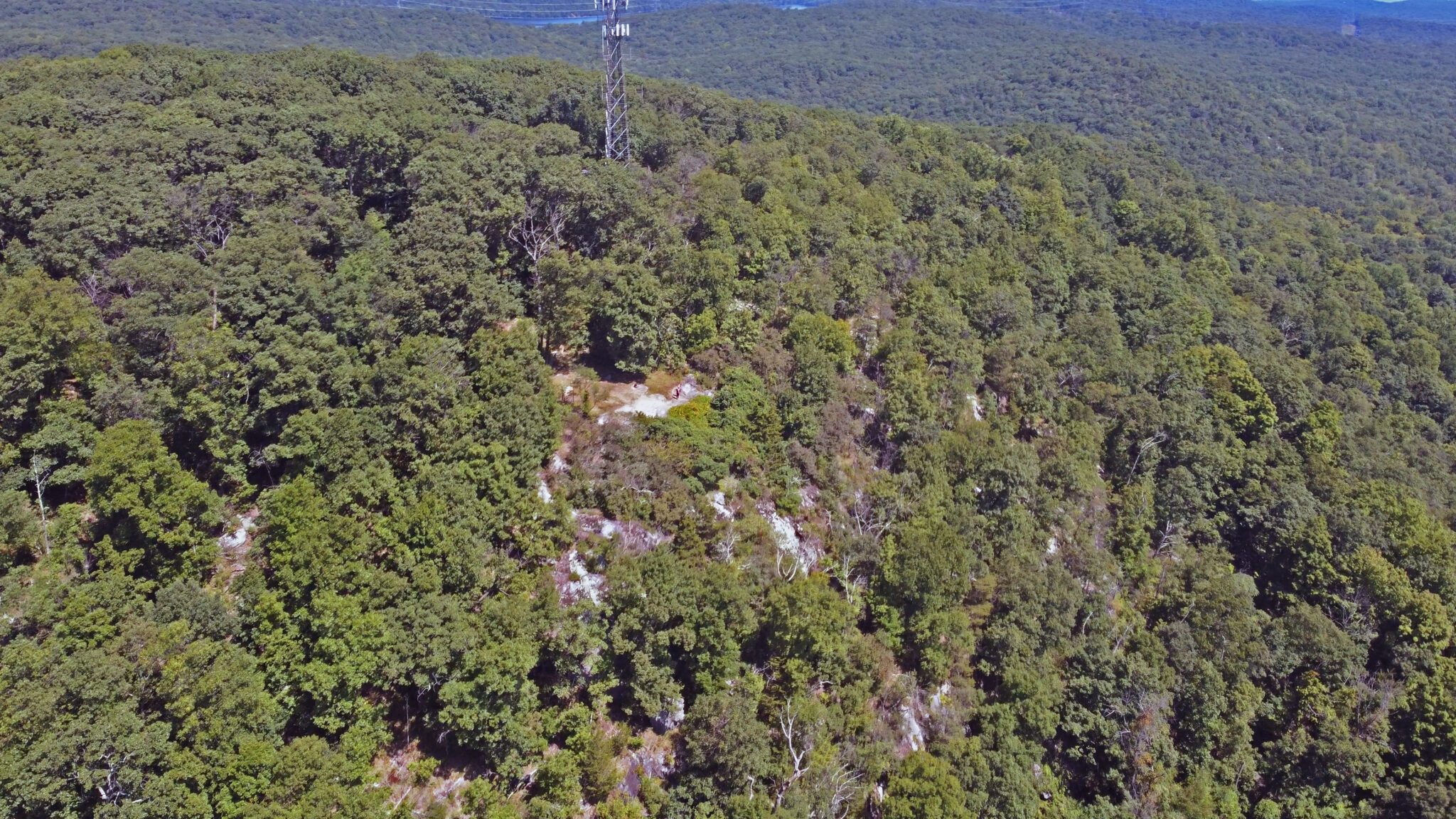 NJDEP| Fish & Wildlife | WMA of the Month - Wildcat Ridge