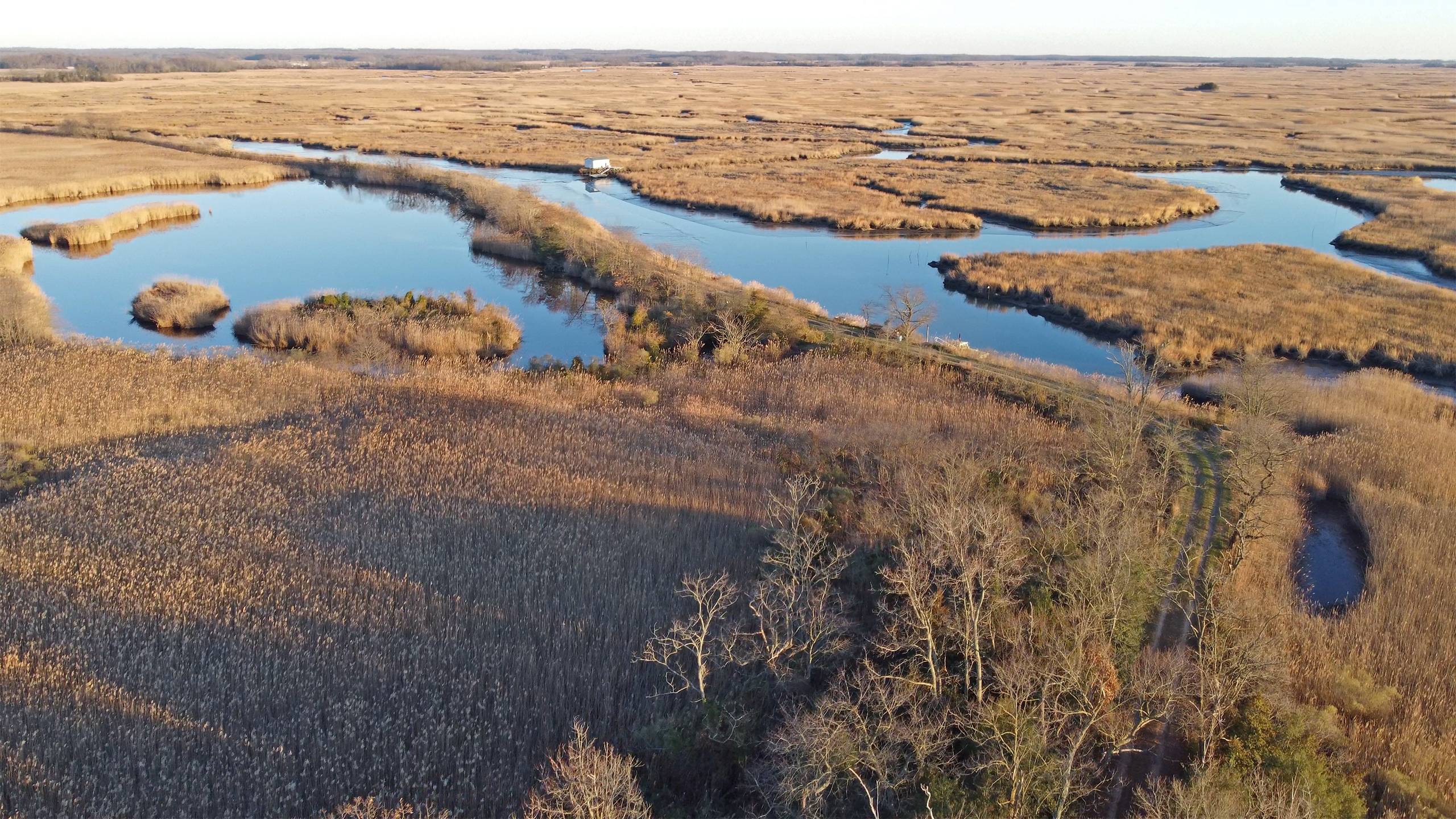 NJDEP| Fish & Wildlife | WMA of the Month - Mad Horse Creek