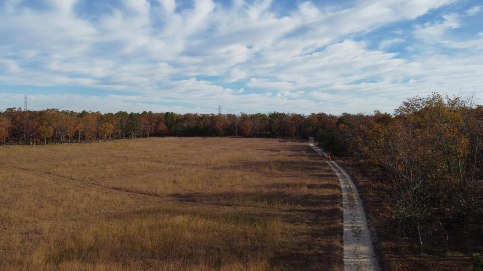 NJDEP| Fish & Wildlife | WMA of the Month - Colliers Mills