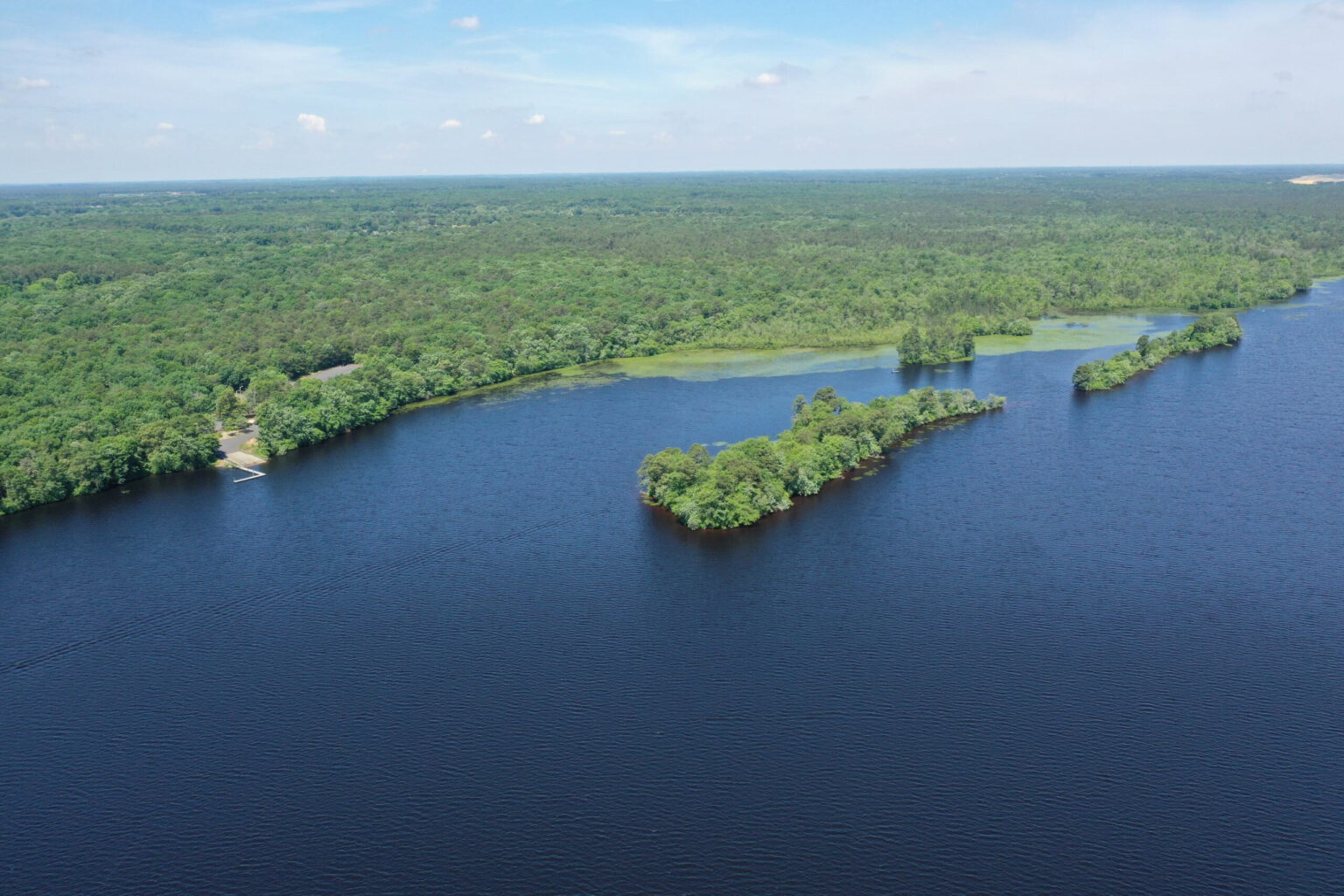NJDEP| Fish & Wildlife | WMA of the Month - Union Lake
