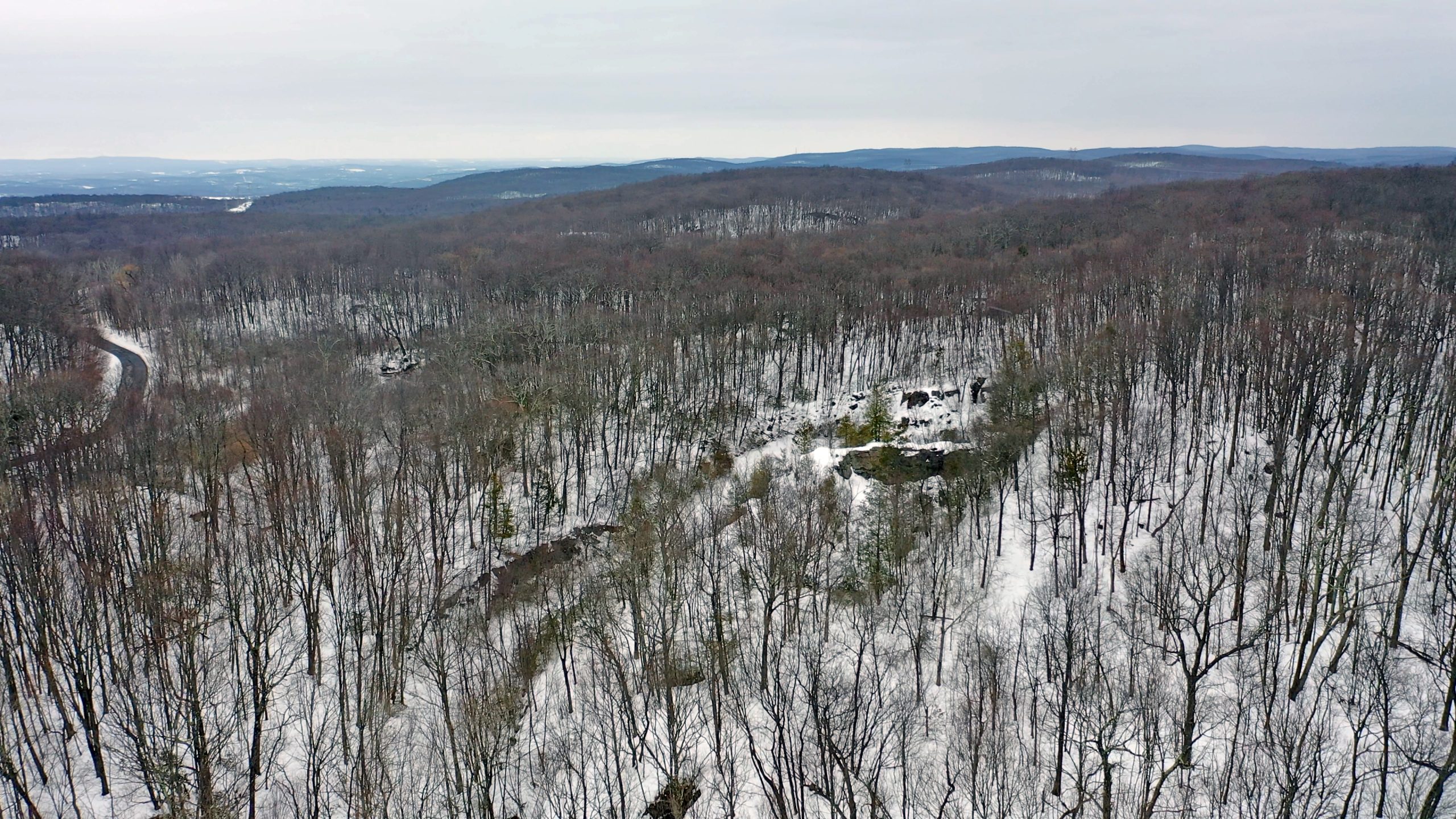 NJDEP| Fish & Wildlife | WMA Highlight - Sparta Mountain