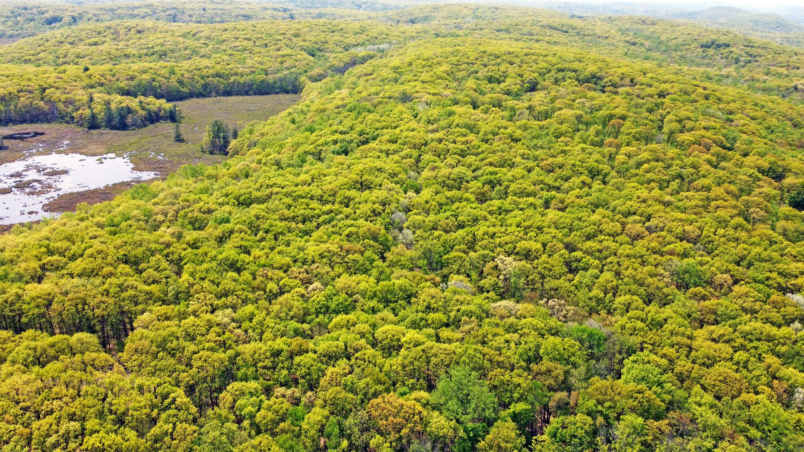 NJDEP| Fish & Wildlife | WMA Highlight - Sparta Mountain