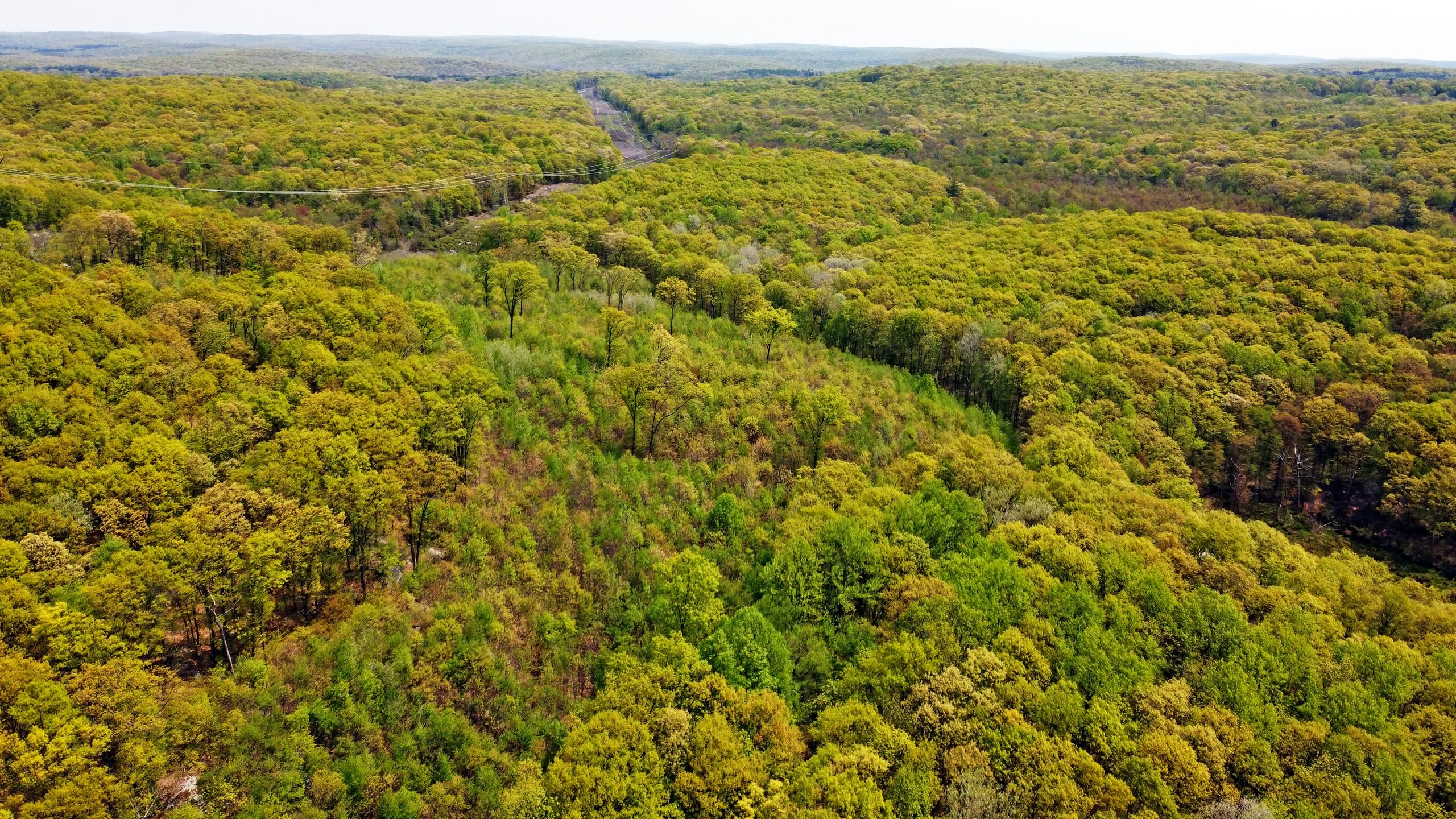 NJDEP| Fish & Wildlife | WMA Highlight - Sparta Mountain
