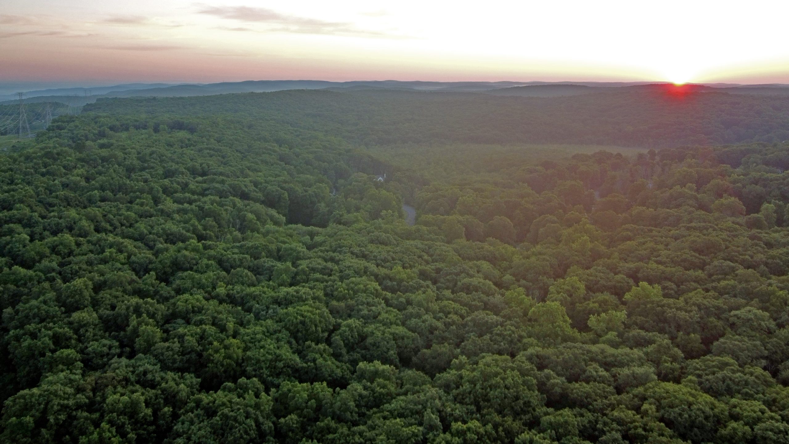 NJDEP| Fish & Wildlife | WMA Highlight - Sparta Mountain