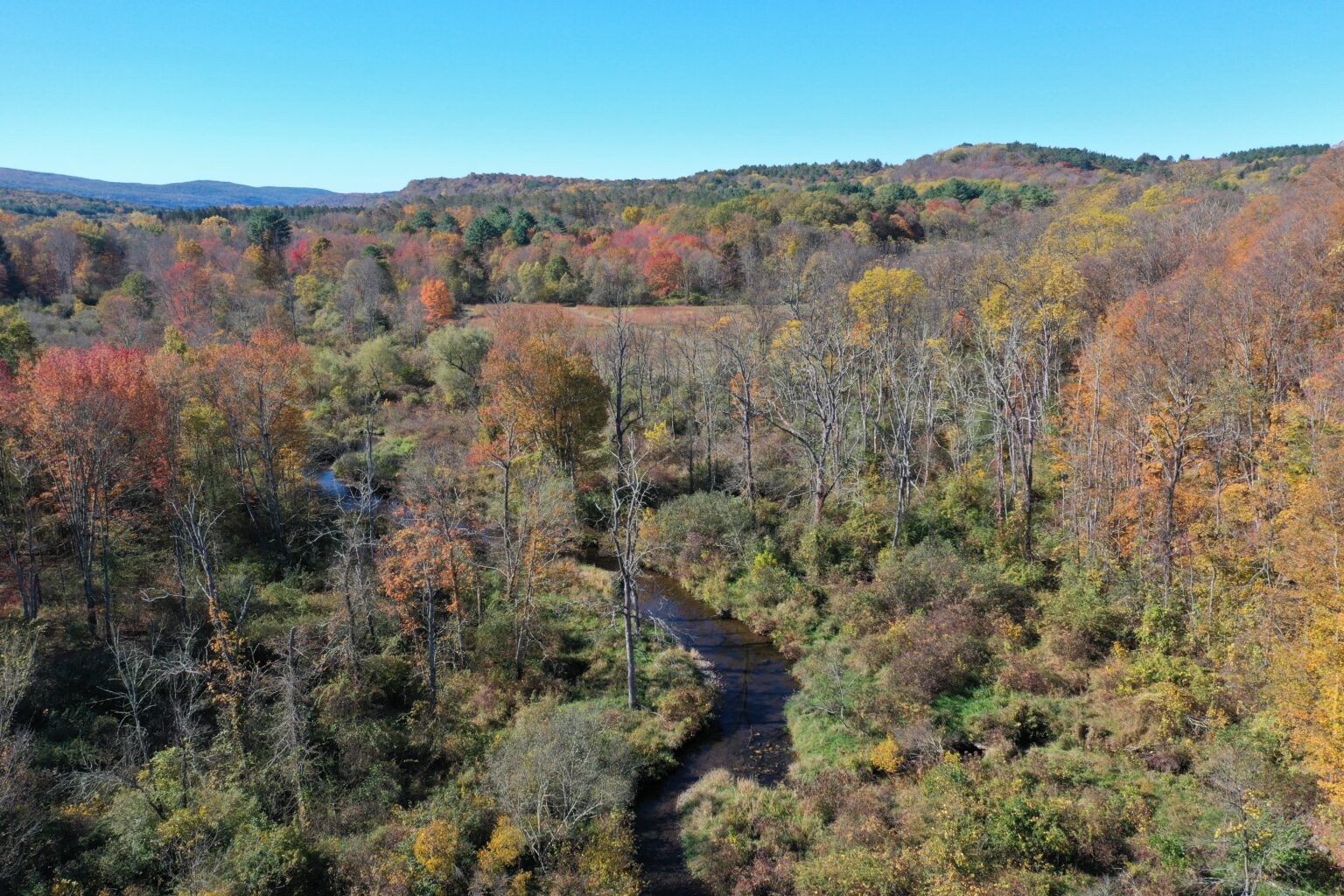 NJDEP| Fish & Wildlife | WMA of the Month - Flatbrook Roy