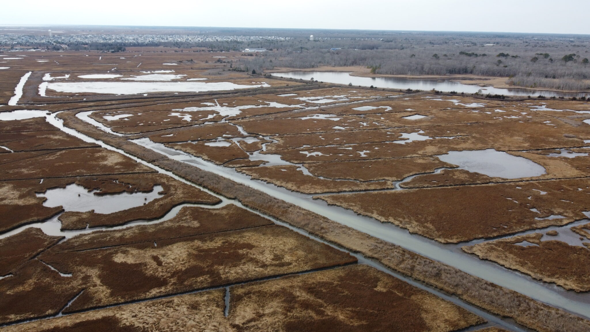 NJDEP| Fish & Wildlife | WMA of the Month - Manahawkin