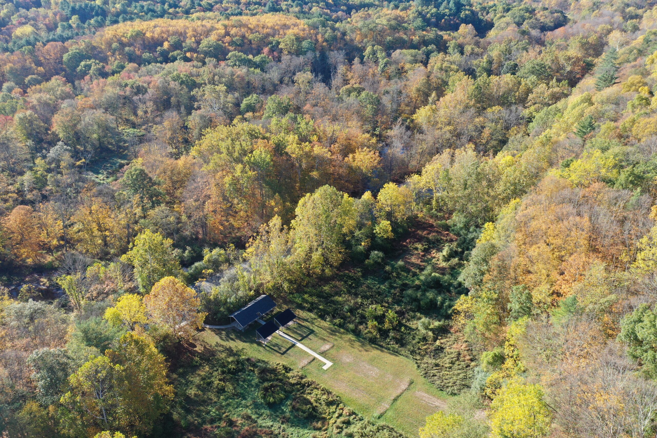 NJDEP| Fish & Wildlife | WMA of the Month - Flatbrook Roy