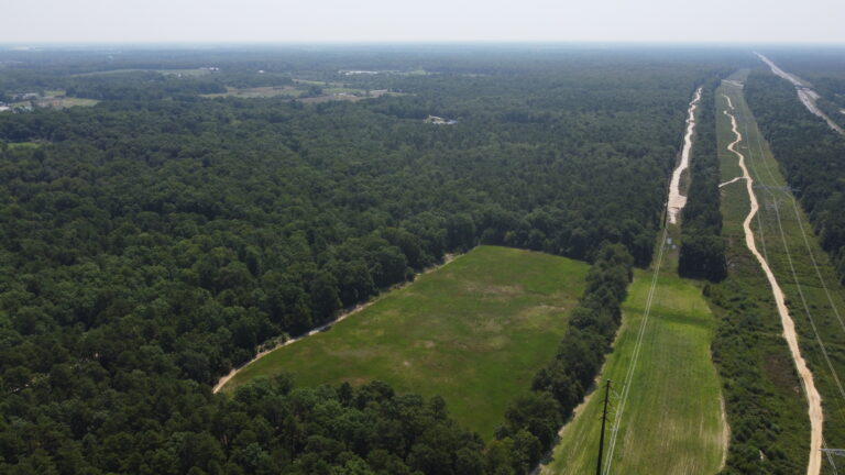 NJDEP| Fish & Wildlife | WMA of the Month - Winslow