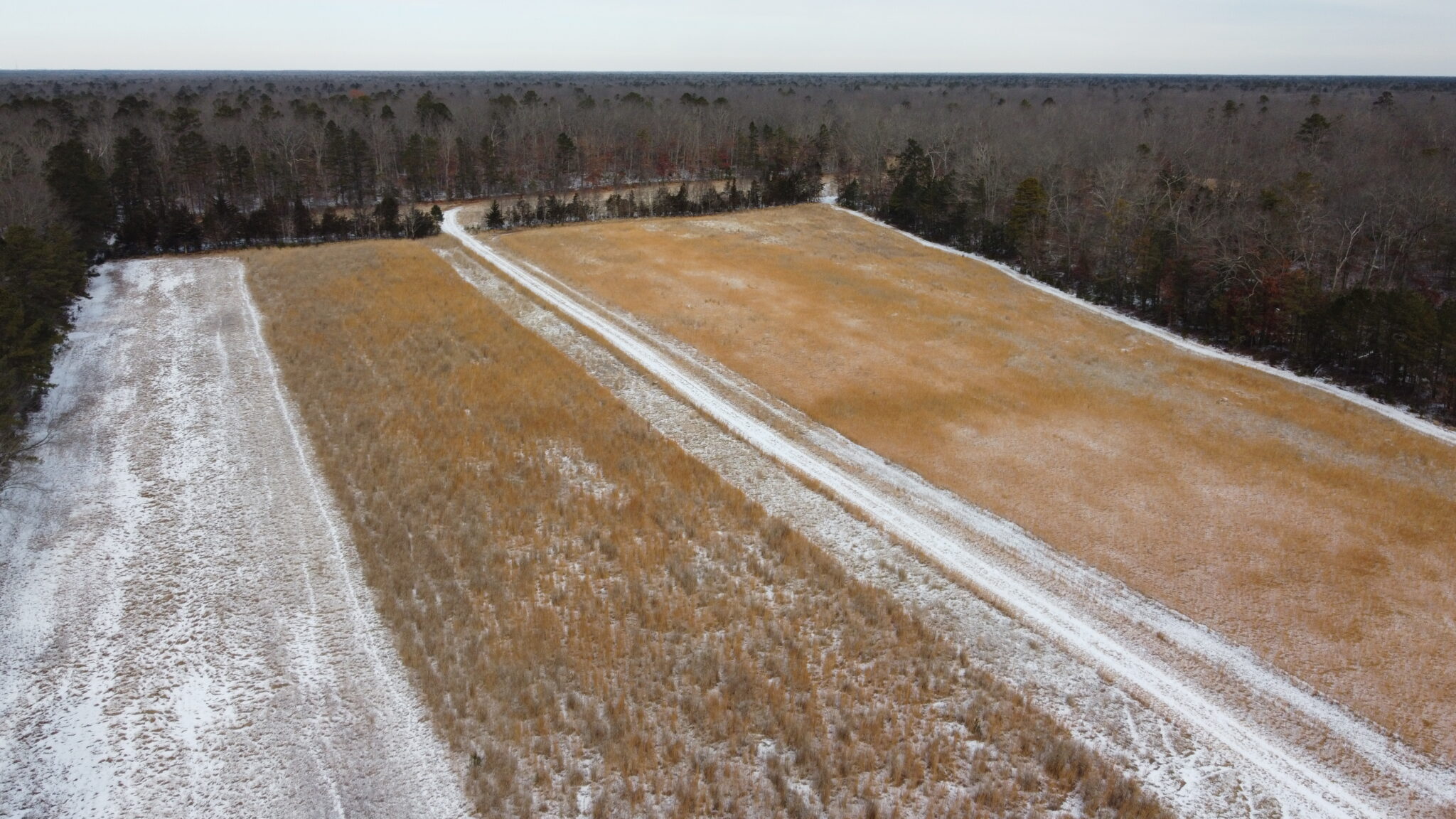 NJDEP| Fish & Wildlife | WMA of the Month - Peaslee