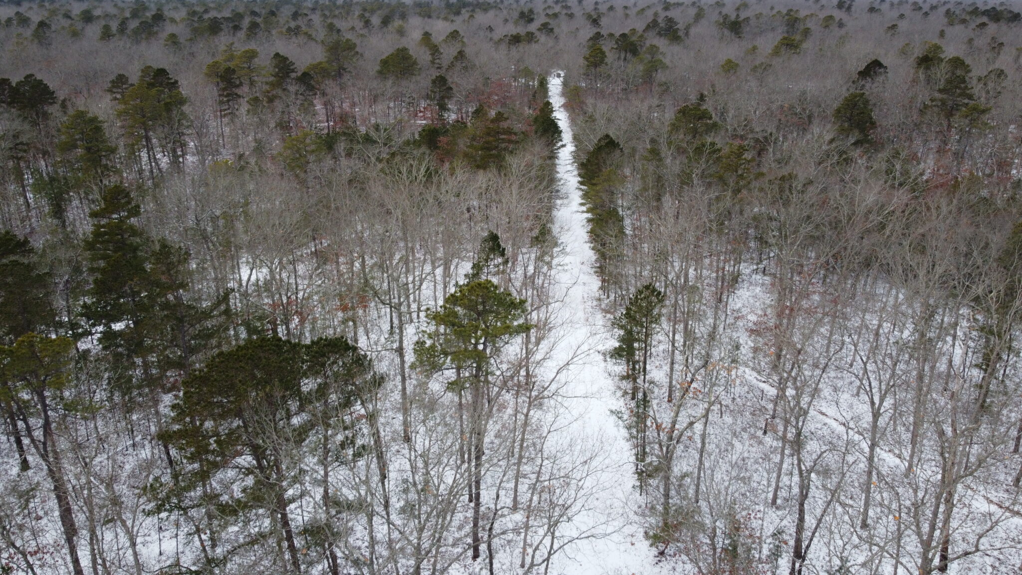 NJDEP| Fish & Wildlife | WMA of the Month - Peaslee