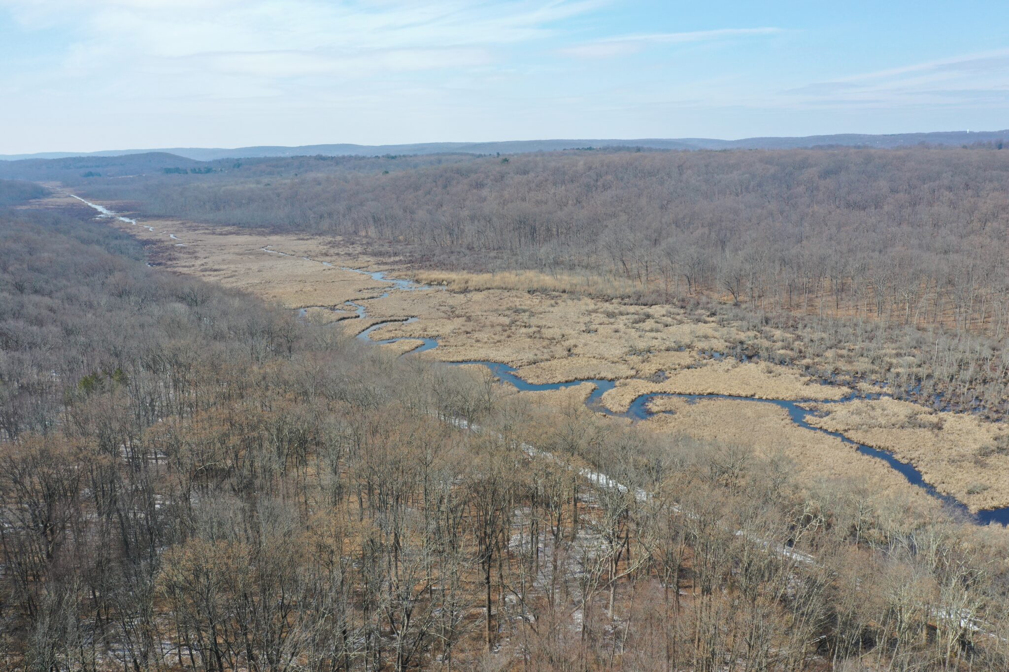 NJDEP| Fish & Wildlife | WMA of the Month - Black River