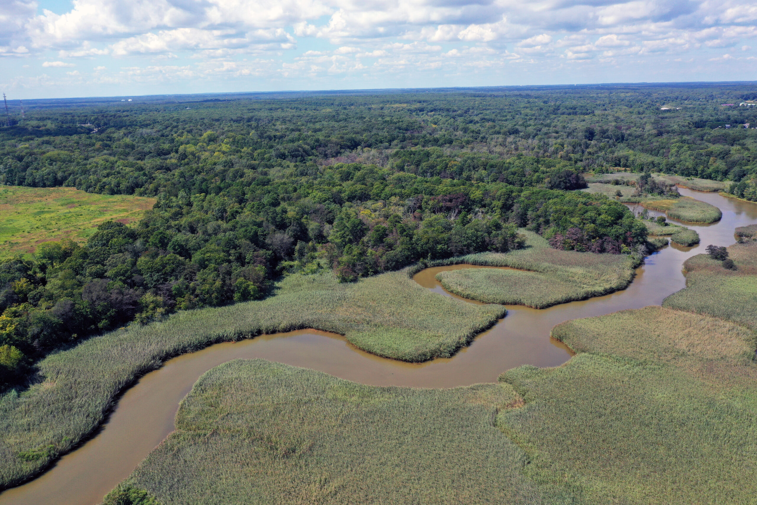 NJDEP| Fish & Wildlife | WMA of the Month - Manasquan River