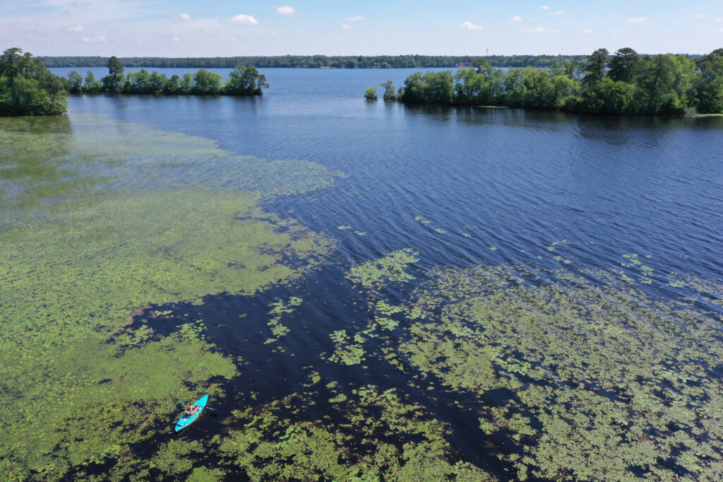 NJDEP| Fish & Wildlife | WMA of the Month - Union Lake