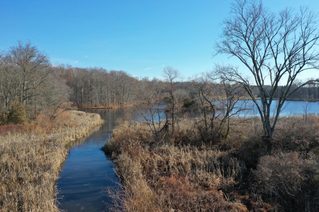 NJDEP| Fish & Wildlife | WMA of the Month - Amwell Lake