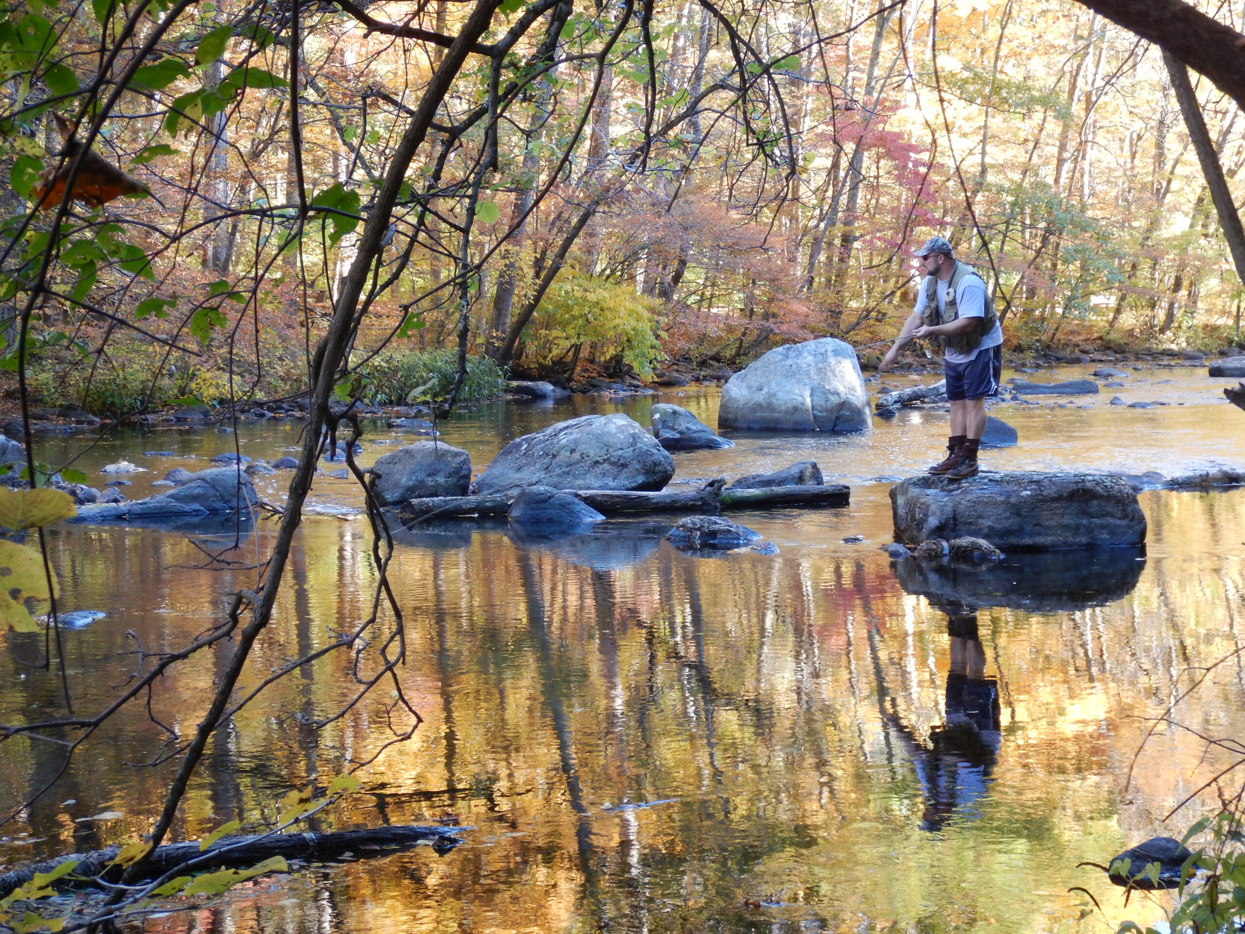 NJDEP| Fish & Wildlife | Habitat Degradation