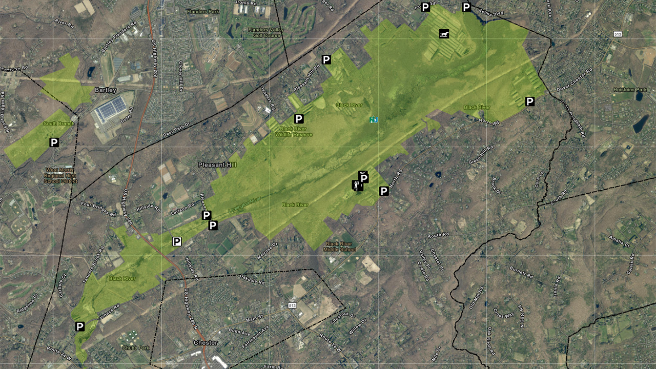 NJDEP| Fish & Wildlife | WMA of the Month - Black River