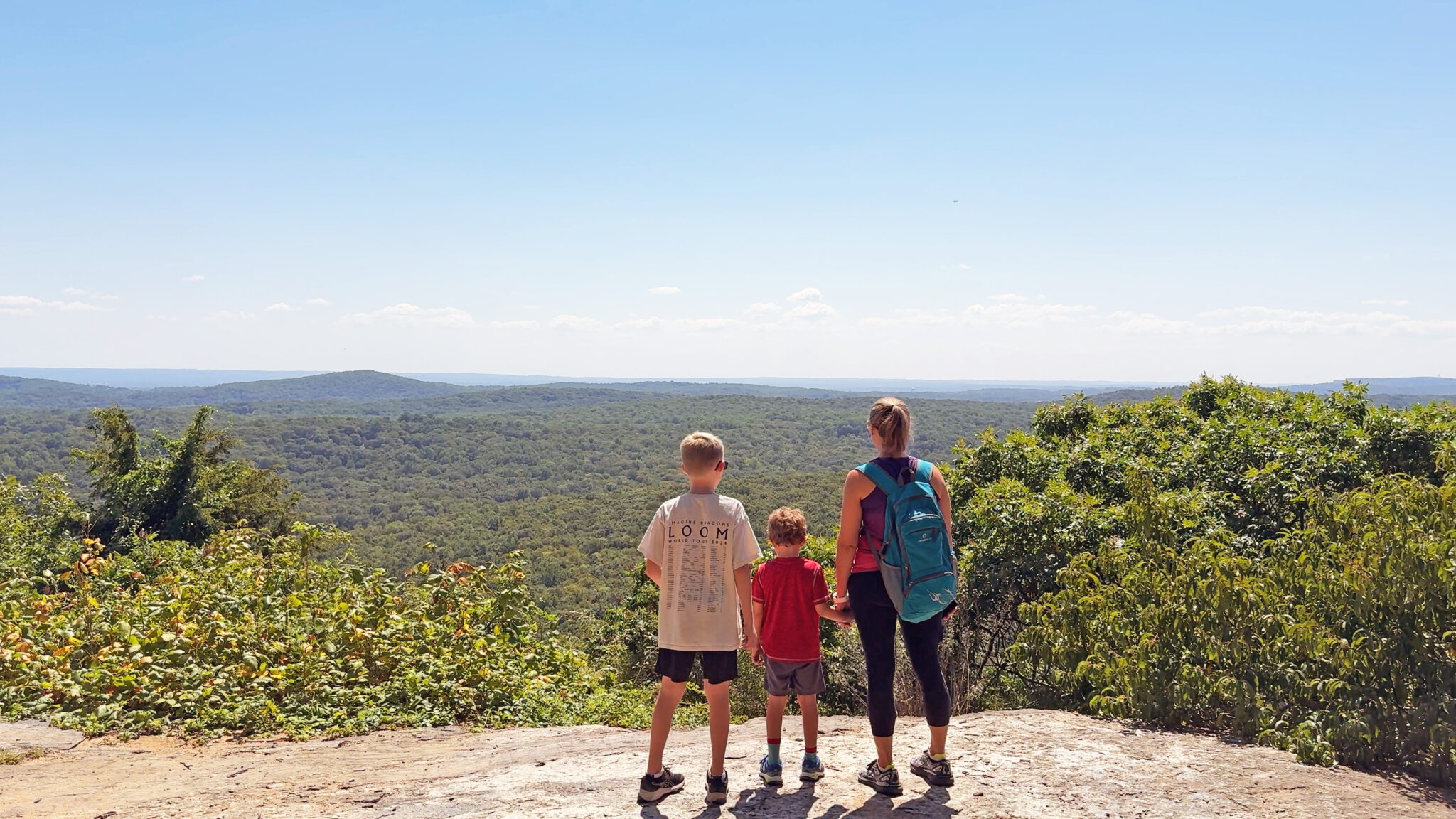 NJDEP| Fish & Wildlife | WMA of the Month - Wildcat Ridge