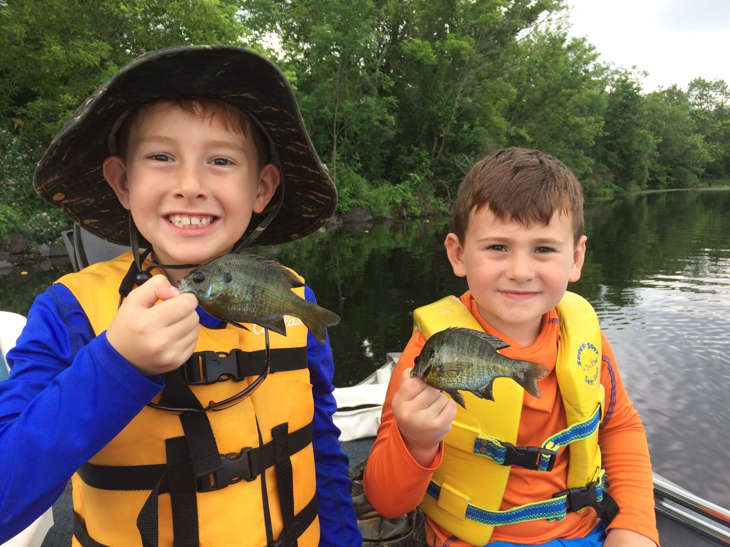 NJDEP| Fish & Wildlife | Sunfish