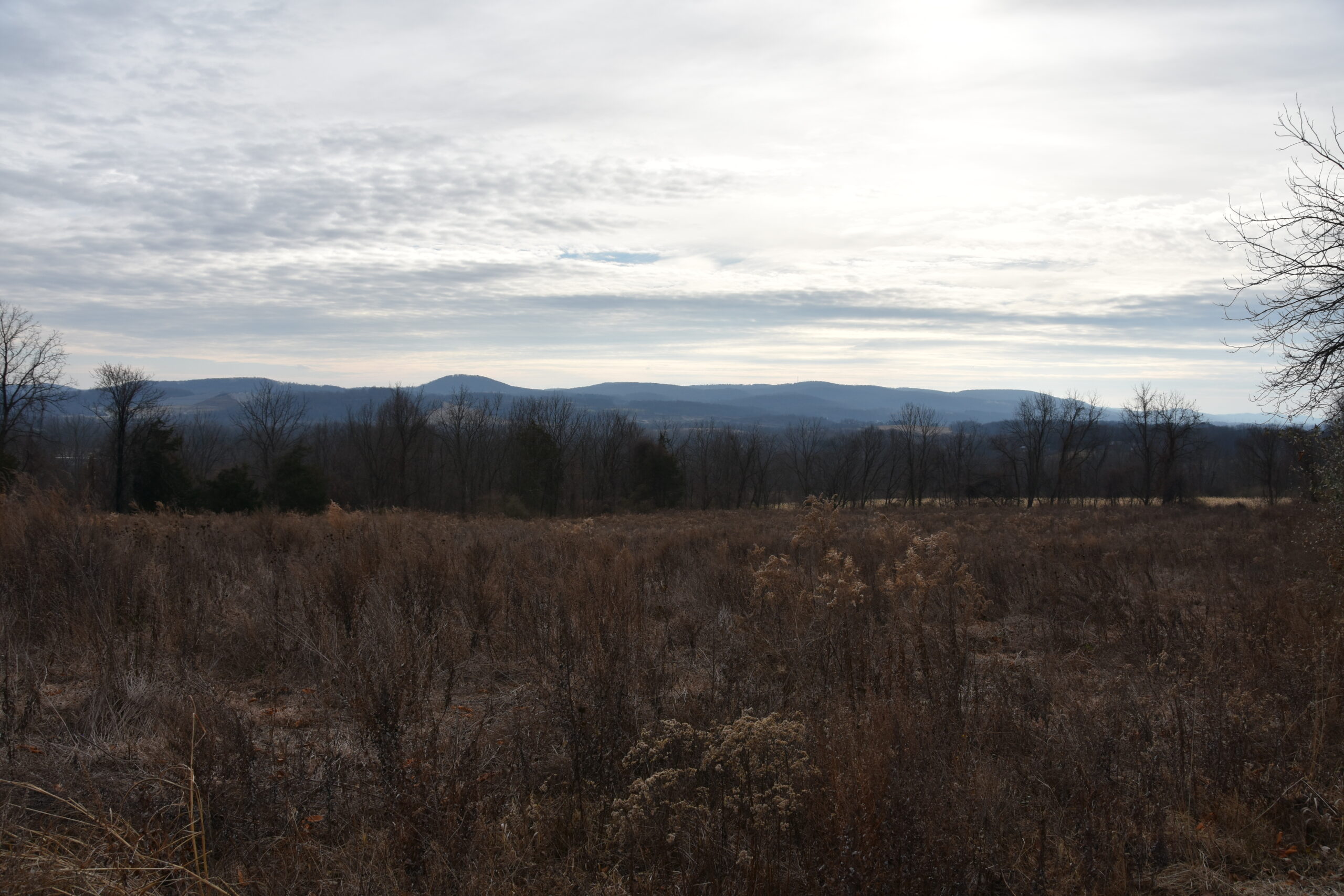 WMA of the Month – Beaver Brook | DSC Northeast